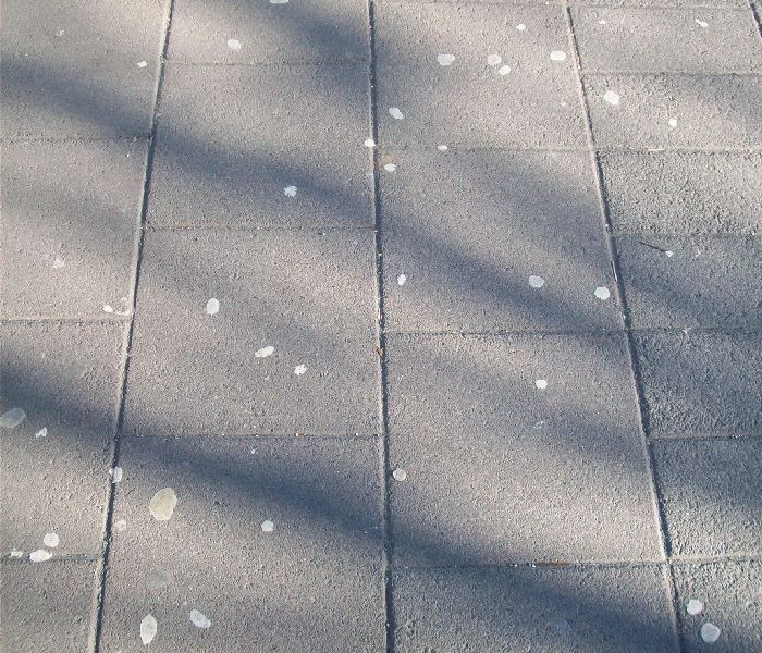 Chewing Gum Remover Aerosol – Advanced Technology Products